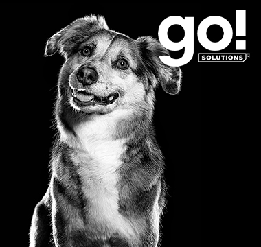 2025寵物展全攻略！時間、亮點、免費門票一次搞定