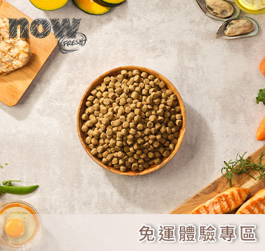 now 鮮肉中型老犬 無穀天然犬糧-SofyDOG蘇菲狗