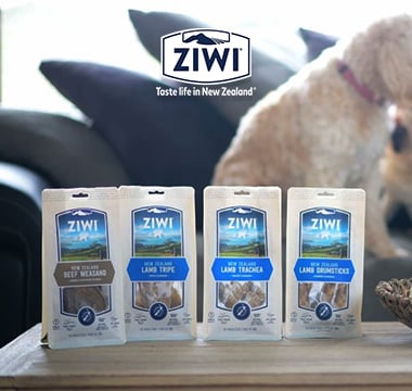 台北市 / 新北實體門市據點-SofyDOG蘇菲狗